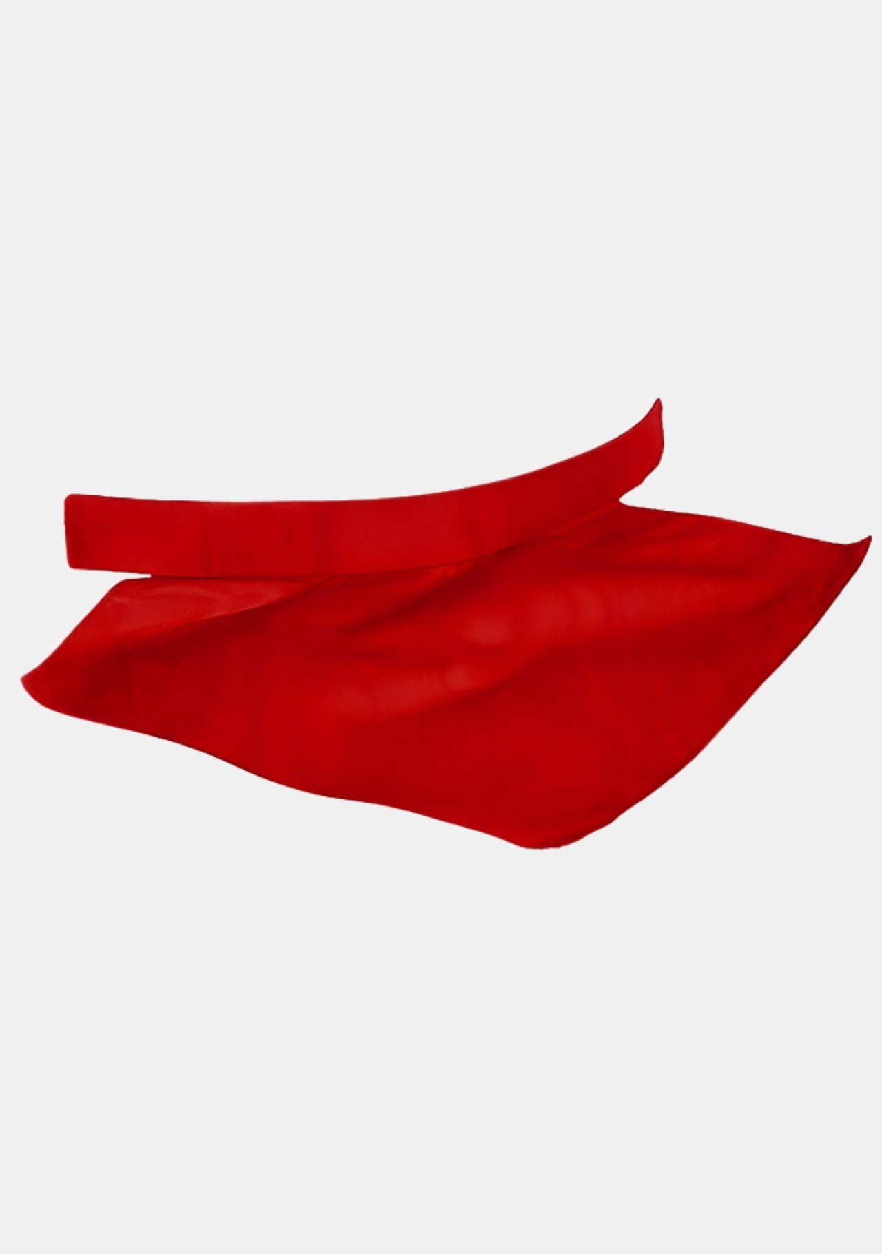 Clerical Bib with Velcro Closure | eClergy's Bib – eClergys